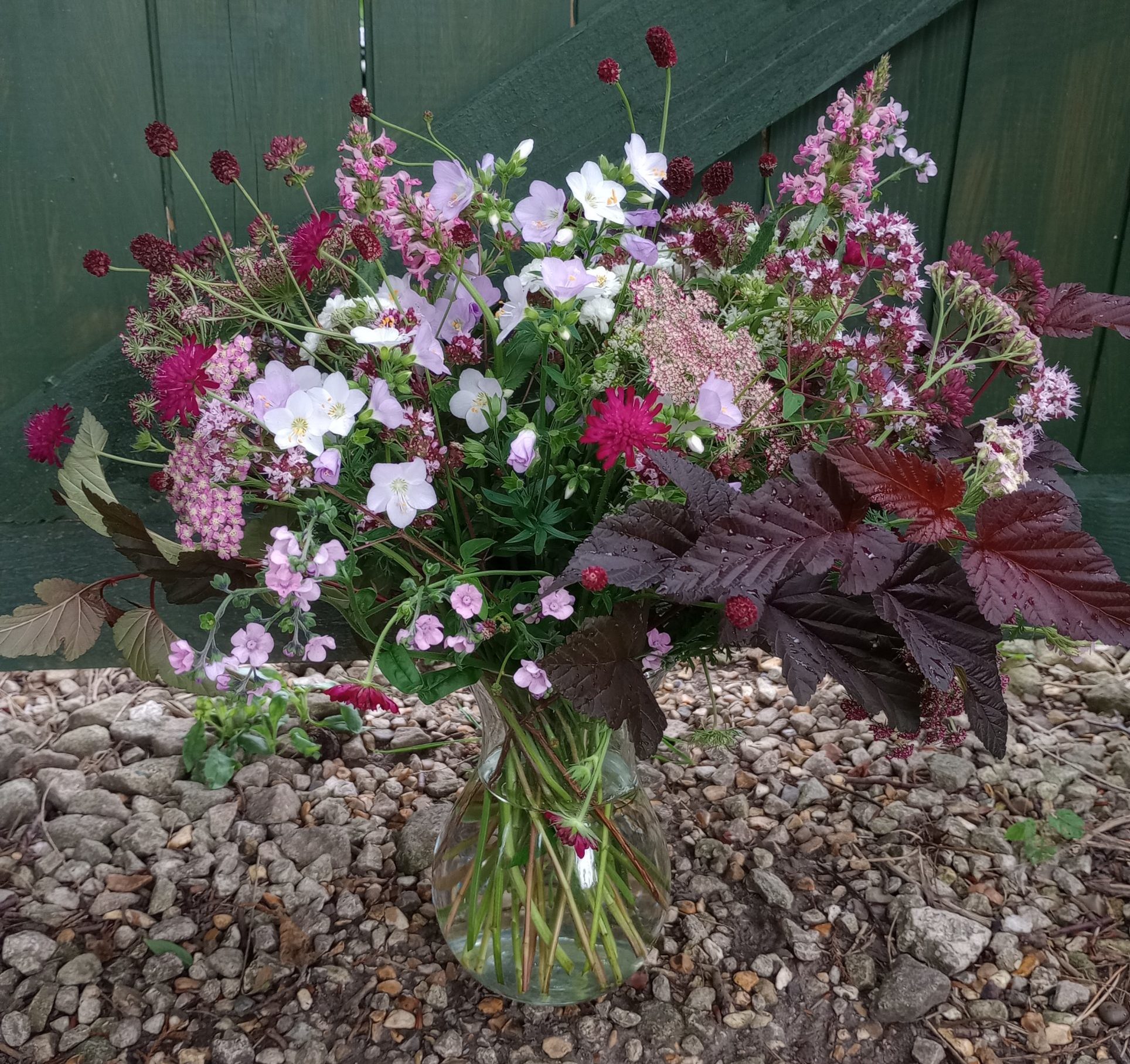 Growing perennials from seed for your flower patch – Higgledy Garden